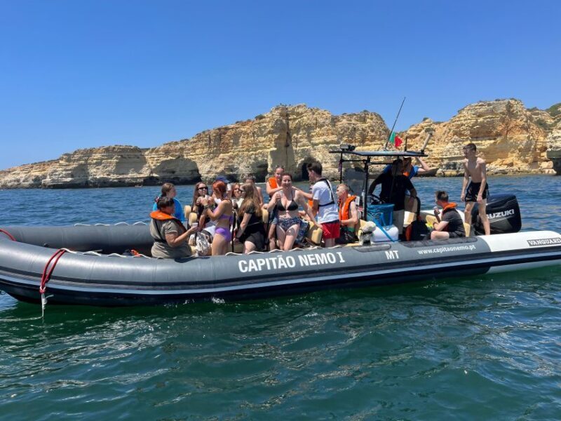 Lagoa: Dolphins Expedition with biologist guide on board - Final Thoughts