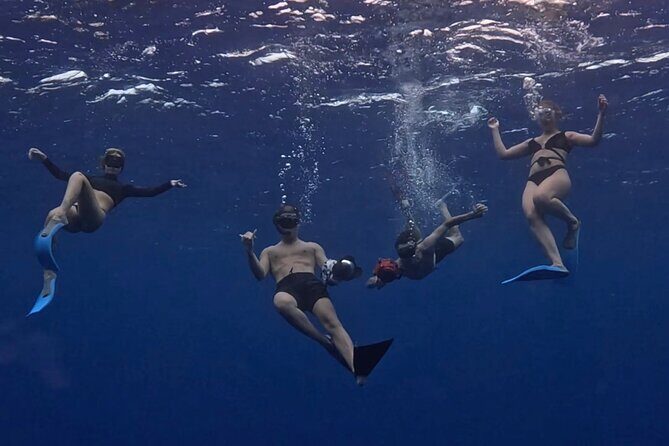 Lagoon and Marine Wildlife Tour in Moorea - Why This Tour Offers Good Value