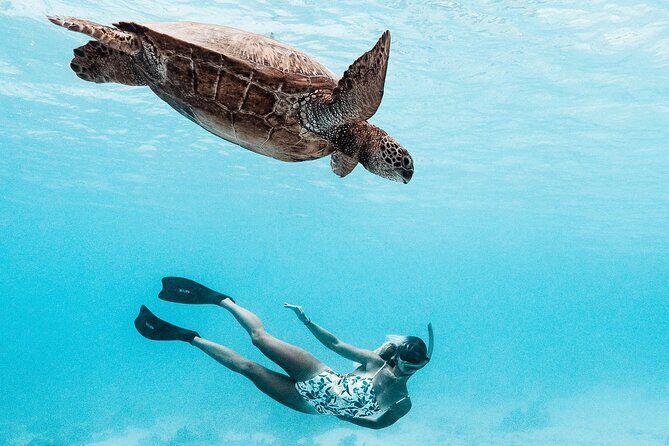 Lagoon and Wildlife Discovery on a Private Boat in Moorea - What Makes This Tour Stand Out