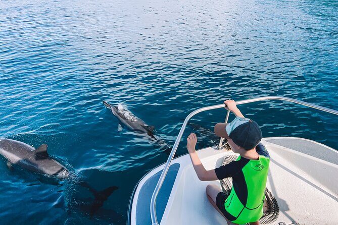 Lagoon and Wildlife Discovery on a Private Boat in Moorea - Real Guest Feedback: Authentic Perspectives