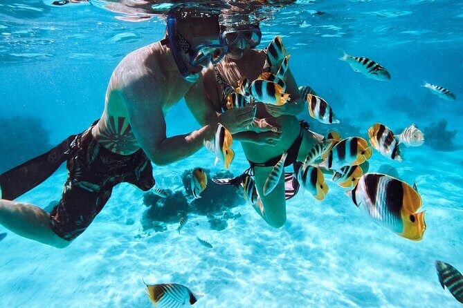 Lagoon and Wildlife Discovery on a Private Boat in Moorea - The Sum Up