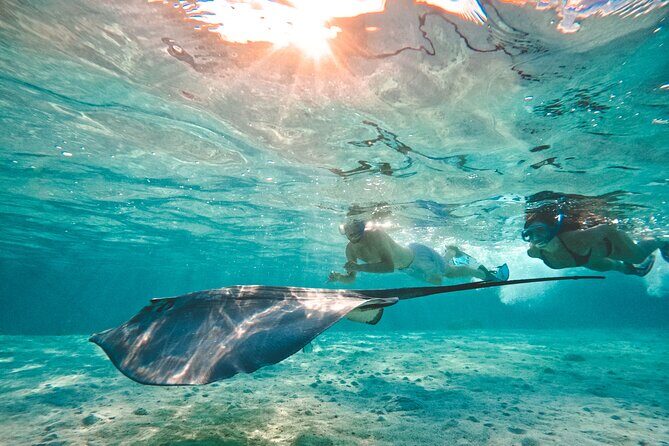 Lagoon and Wildlife Discovery on a Private Boat in Moorea - FAQs