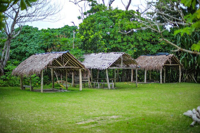 Lagoon Bliss Cultural Village and Hideaway Snorkeling Escape - Who Is This Tour Best For?