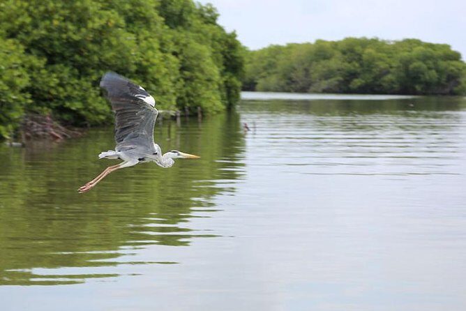 Lagoon Escapes Negombo Day Trip - FAQs