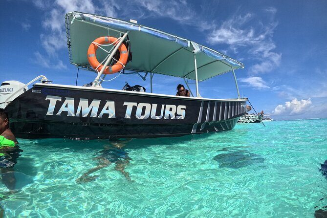 Lagoon Exploration and Snorkeling in Moorea - The Sum Up: Who Will Love This Tour?