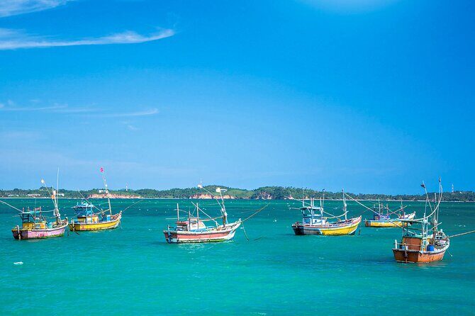 Lagoon Fishing from Negombo - What to Expect When You Book and Join