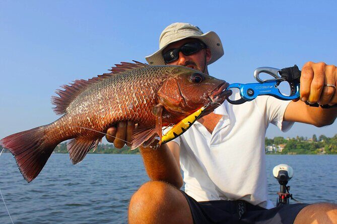Lagoon Fishing from Negombo - Final Verdict