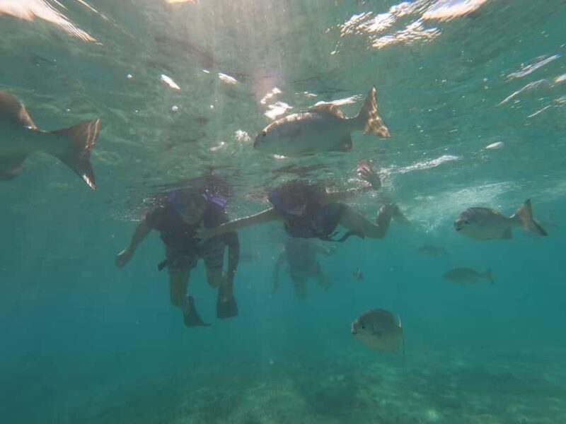 Lagoon ride and snorkeling - The Real Experience: What Travelers Say