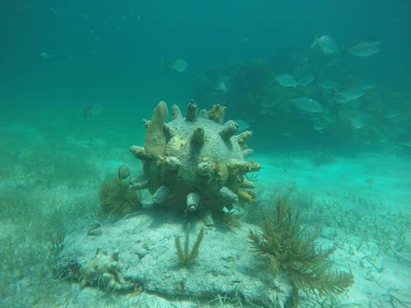 Lagoon ride and snorkeling - Overall Value and Suitability