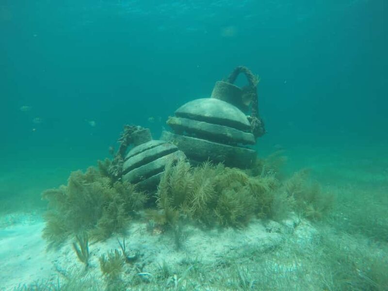 Lagoon ride and snorkeling - FAQ