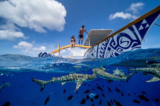 Lagoon Snorkeling Tour with Tahitian Oven Lunch in Bora Bora - What Travelers Say