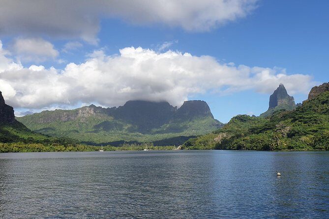 Lagoon Tour - Discover the magnificent lagoon of Moorea - Why People Love This Tour