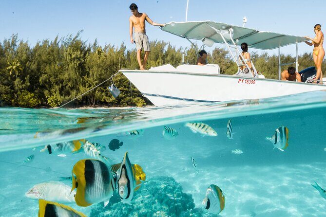 Lagoon Tour in Moorea in Small Group with Lunch - Why This Tour Stands Out