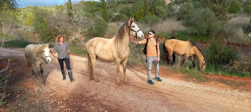 Lagos: A walk with a rescued horse at the sanctuary - Why This Experience Offers Real Value