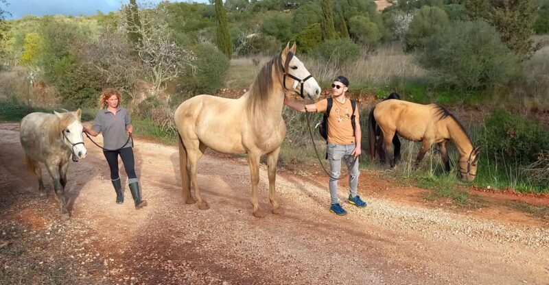 Lagos: A walk with a rescued horse at the sanctuary - The Experience in Practice: A Deep Dive