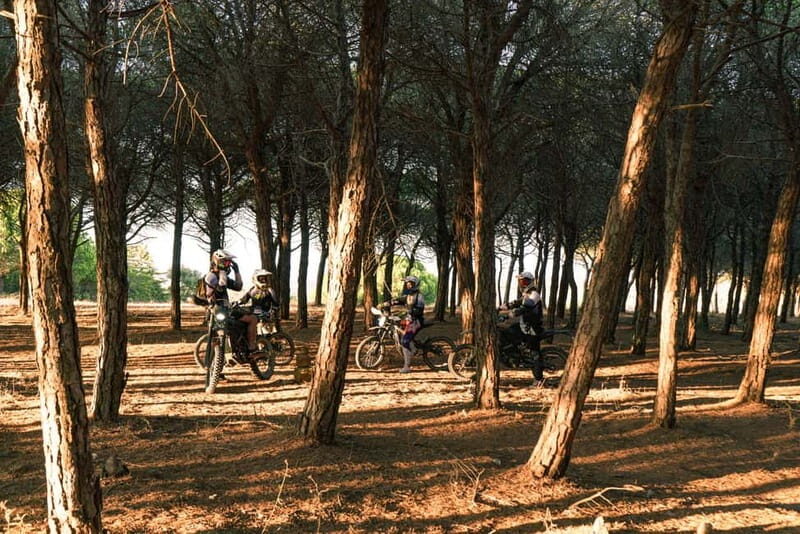Lagos, Algarve: Adventure Tours on Surron Electric Dirtbikes - The Value for Travelers