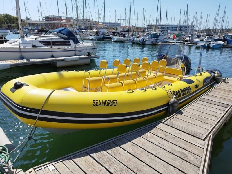 Lagos: Benagil Cave Sunrise Boat Tour - The Itinerary Explored
