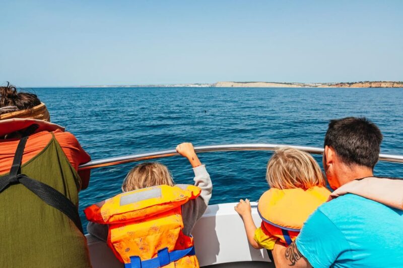 Lagos: Dolphin Watch Tour with Professional Marine Biologist - Who Will Love This Tour?