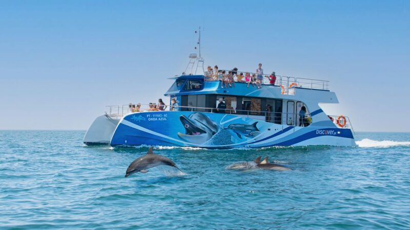 Lagos: Dolphin Watching Half-Day Cruise & Water Activities - The Balance of Experience: What Could Be Better?