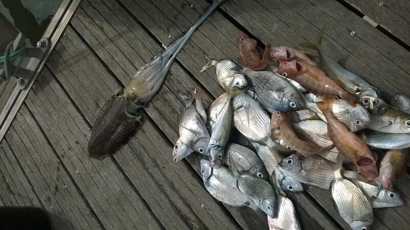 Lagos: Family Fishing Trip - Introduction