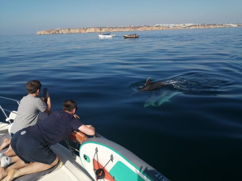 Lagos: Full-Day Private Yacht Charter - Top Highlights and What You’ll Love