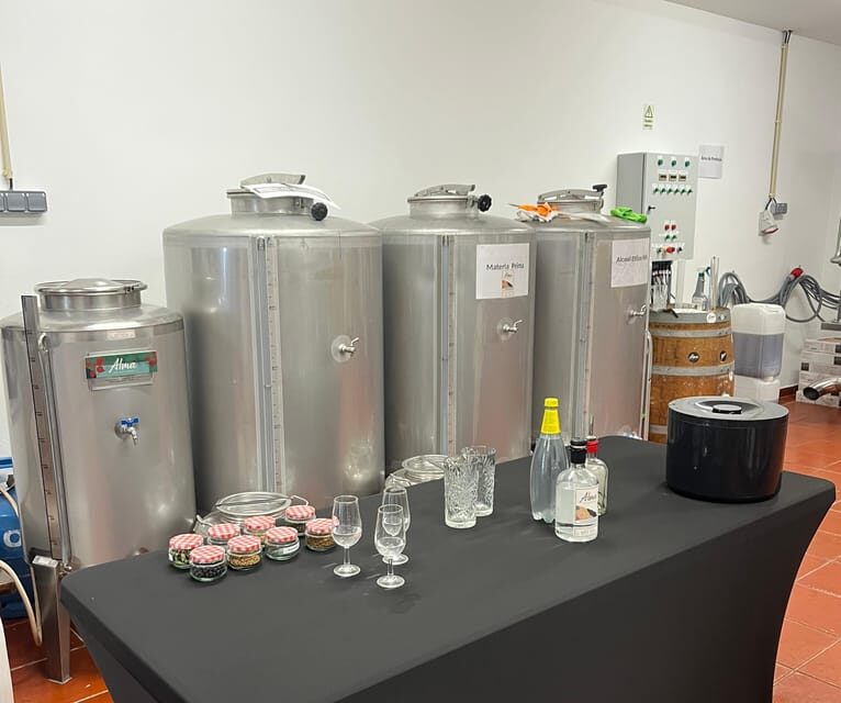 Lagos: Guided Gin Distillery Tour With Tasting at Alma Luz - Key Points