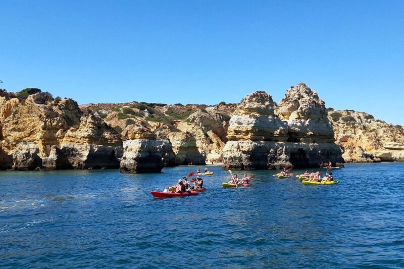 Lagos: Guided Kayak Tour - Does the Tour Offer Good Value?