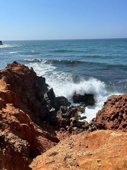 Lagos: Party - UMM Safari-Beer-Tour to the West-Coast - What the Reviews Say