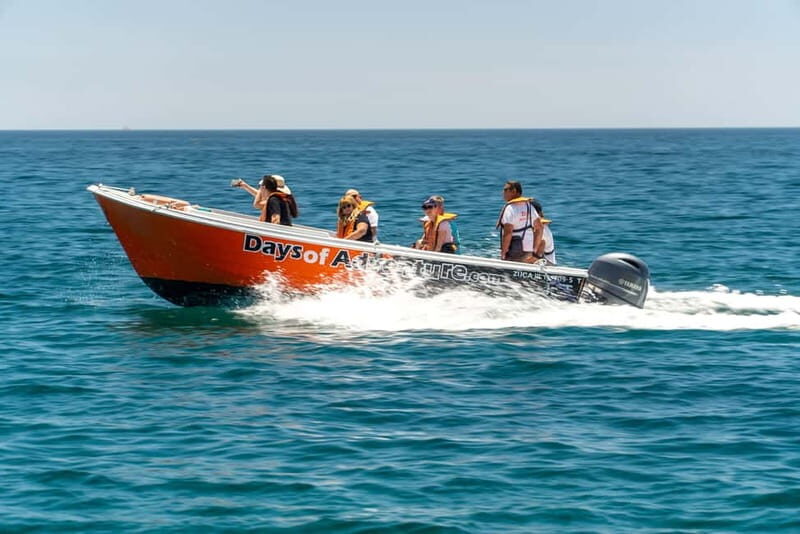 Lagos: Ponta da Piedade Caves Boat Tour - Authentic Experiences and Expert Guides