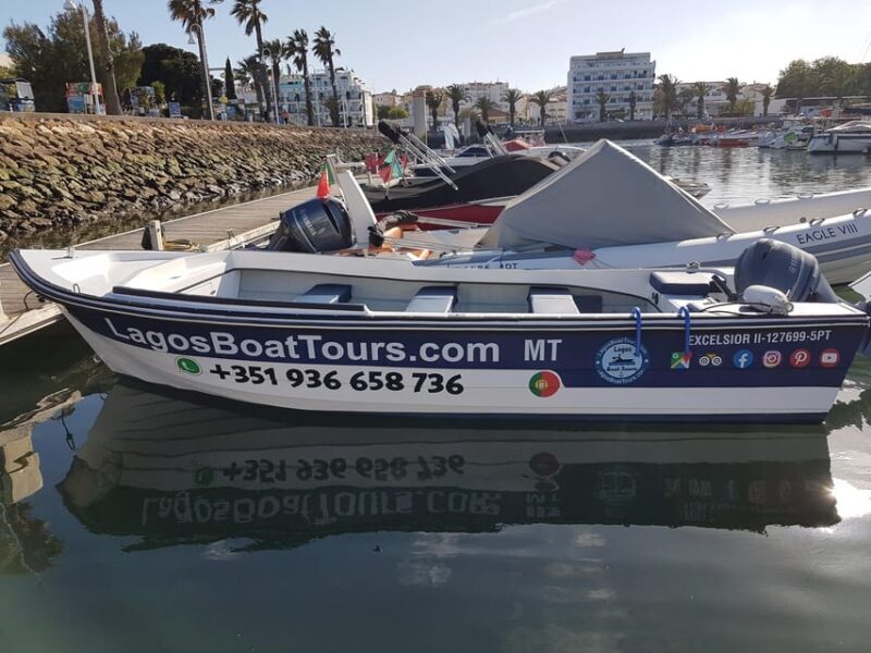 Lagos: Ponta da Piedade Grotto 1-Hour Tour with Local Guide - Introduction