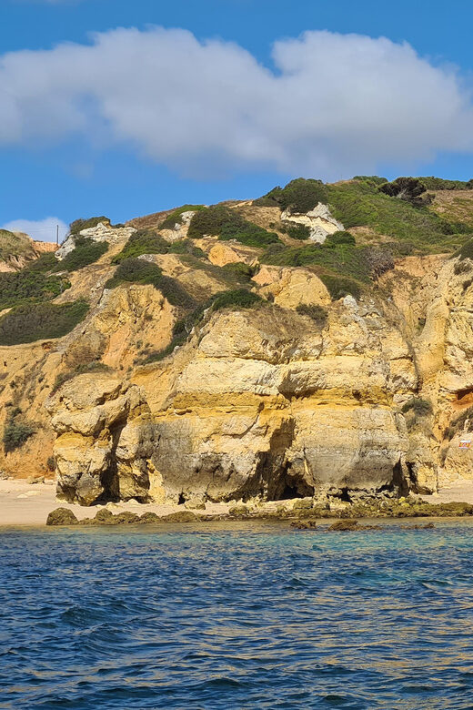 Lagos: Privat Trip up to 11 Pax to Grottos Ponta da Piedade - An Overview of the Experience