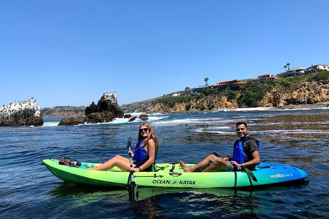 Laguna Beach Open Ocean Kayaking Tour with Sea Lion Sightings - An Honest Look at Laguna Beach’s Open Ocean Kayaking Tour with Sea Lion Sightings