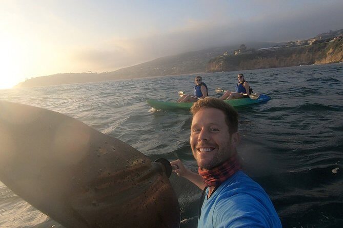 Laguna Beach Open Ocean Kayaking Tour with Sea Lion Sightings - Key Points