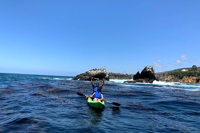 Laguna Beach Open Ocean Kayaking Tour with Sea Lion Sightings - Practical Details for Future Participants