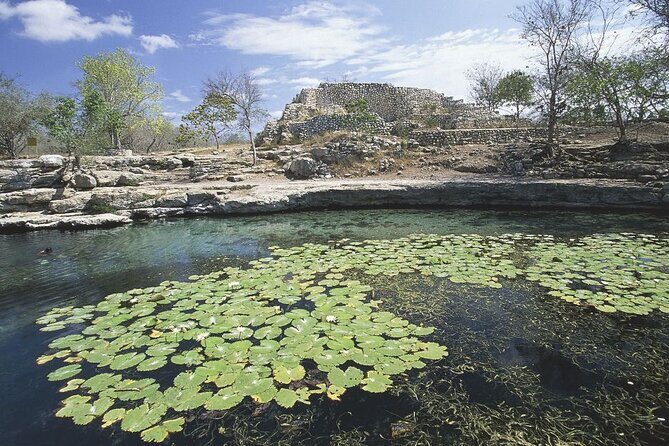 Laguna Kaan Luum & Cenotes - Cenote Chen Ha: The Semi-Open Wonder