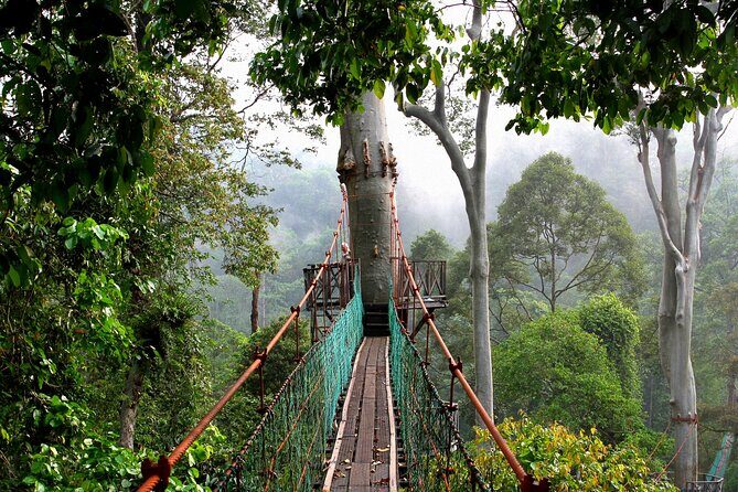 Lahad Datu: 3D2N Danum Valley Lost World Expedition with Transfer - Who Will Love This Tour?