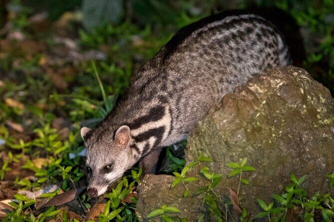 Lahad Datu: 3D2N Danum Valley Lost World Expedition with Transfer - FAQ