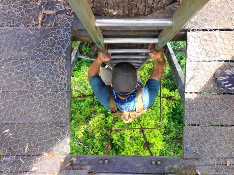 Lahad Datu: Danum Valley 3-Day Jungle Adventure with Guide - Starting the Journey: From Lahad Datu to the Forest