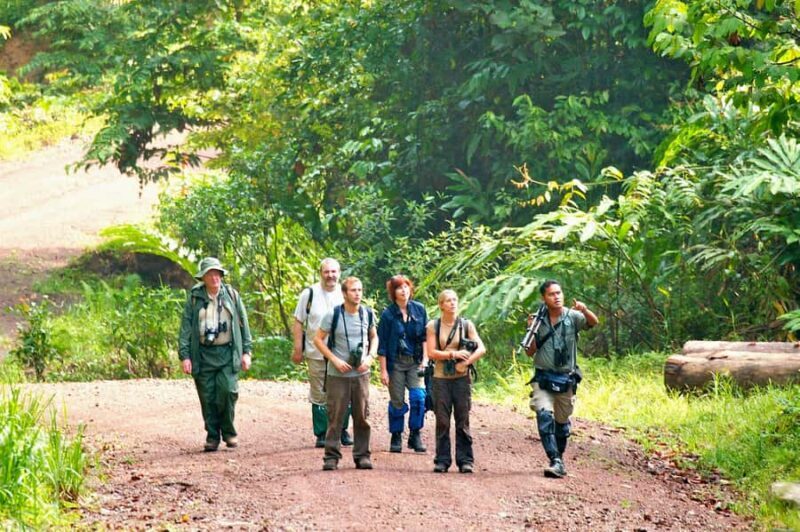 Lahad Datu: Danum Valley 3-Day Jungle Adventure with Guide - Value and Pricing