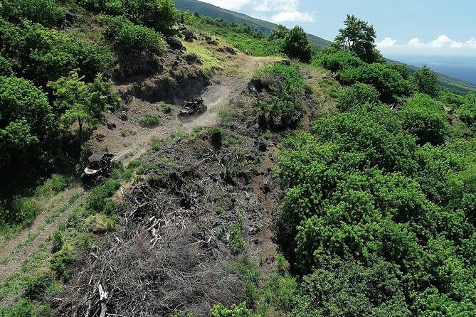 Lahaina ATV Adventure, Maui - Who Should Consider This Tour?
