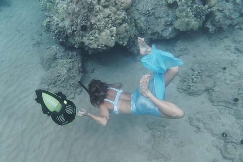 Lahaina: Guided Mermaid Snorkel Tour with Sea Scooter - Key Points