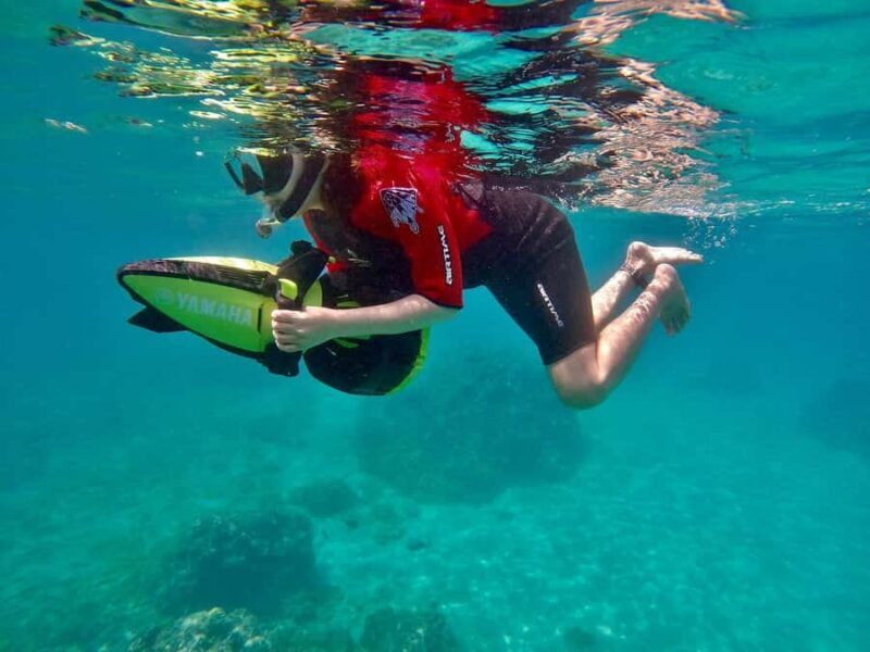 Lahaina: Kapalua Bay Eco Sea Scooter Tour with Guide - A Closer Look at the Kapalua Bay Eco Sea Scooter Tour