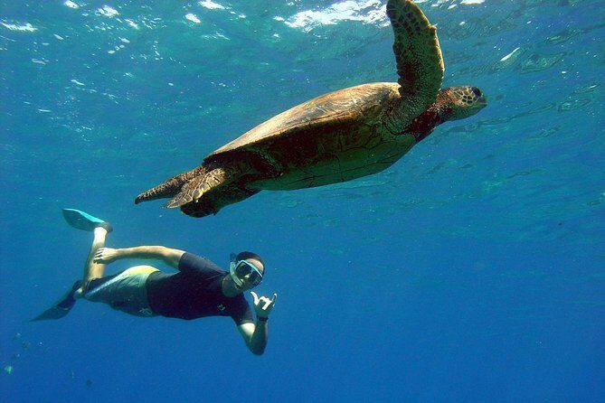 Lahaina Kayak and Snorkel Excursion - The Adventure Begins: What to Expect