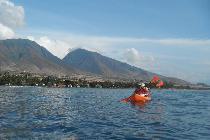 Lahaina Kayak and Snorkel Excursion - Price and Value: Is It Worth It?
