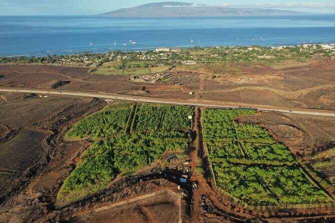 Lahaina: Maui Ku'ia Estate Guided Cacao Farm Tour and Tasting - Is This Tour Worth the Price?