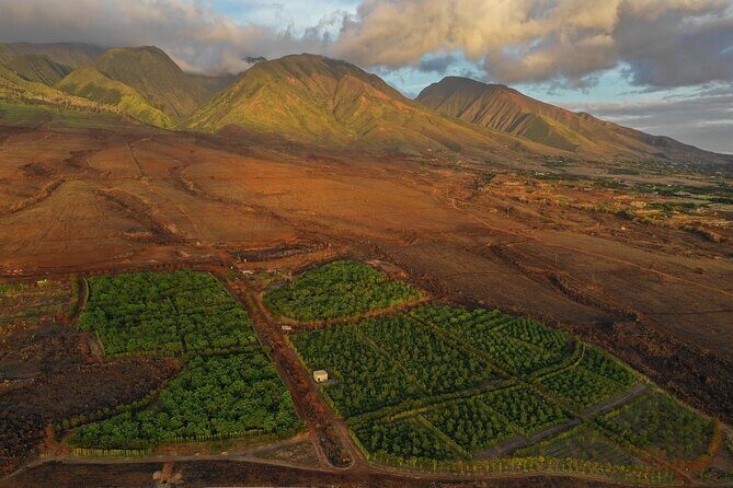 Lahaina: Maui Ku'ia Estate Guided Cacao Farm Tour and Tasting - Final Thoughts