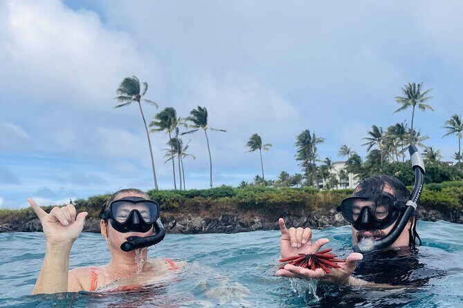 Lahaina Reef Snorkeling Adventure in Maui - Highlights of the Reef and Marine Life