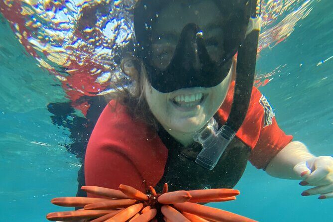 Lahaina Reef Snorkeling Adventure in Maui - The Small Group Advantage