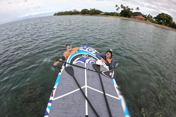Lahaina Reef Snorkeling Adventure in Maui - Who Should Consider This Tour?