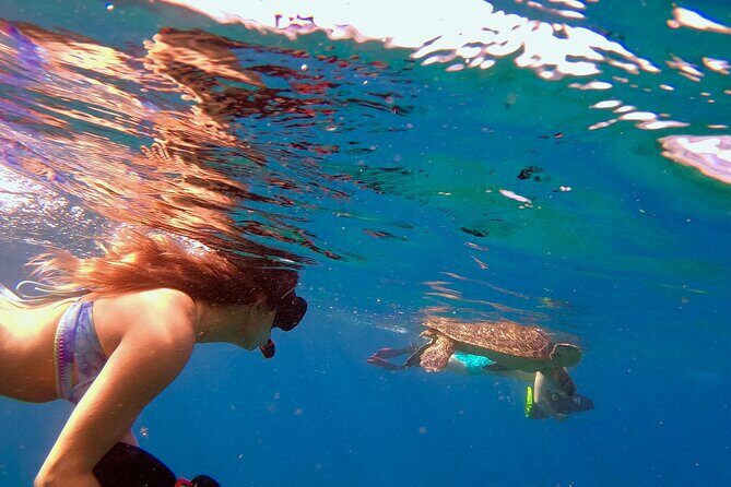 Lahaina Small Group Snorkeling Adventure - Key Points